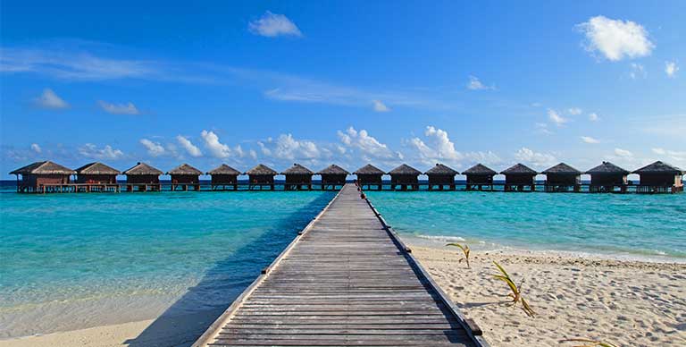 TIO Insurance Claim Information - TIO Insurance NT